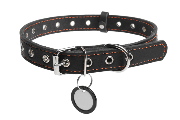 The Key Benefits Of A Dog Airtag Holder – HUND Denmark