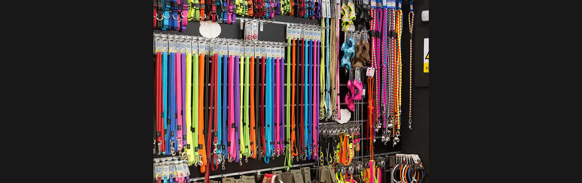 Short Vs. Long Leashes: Which One Is Best For Your Dog?
