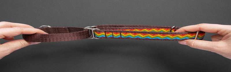 Martingale Collar Is Perfect For These 5 Types Of Dog Breeds