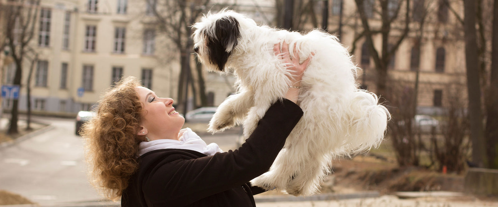 This Is How You Should Pick Up Your Dog