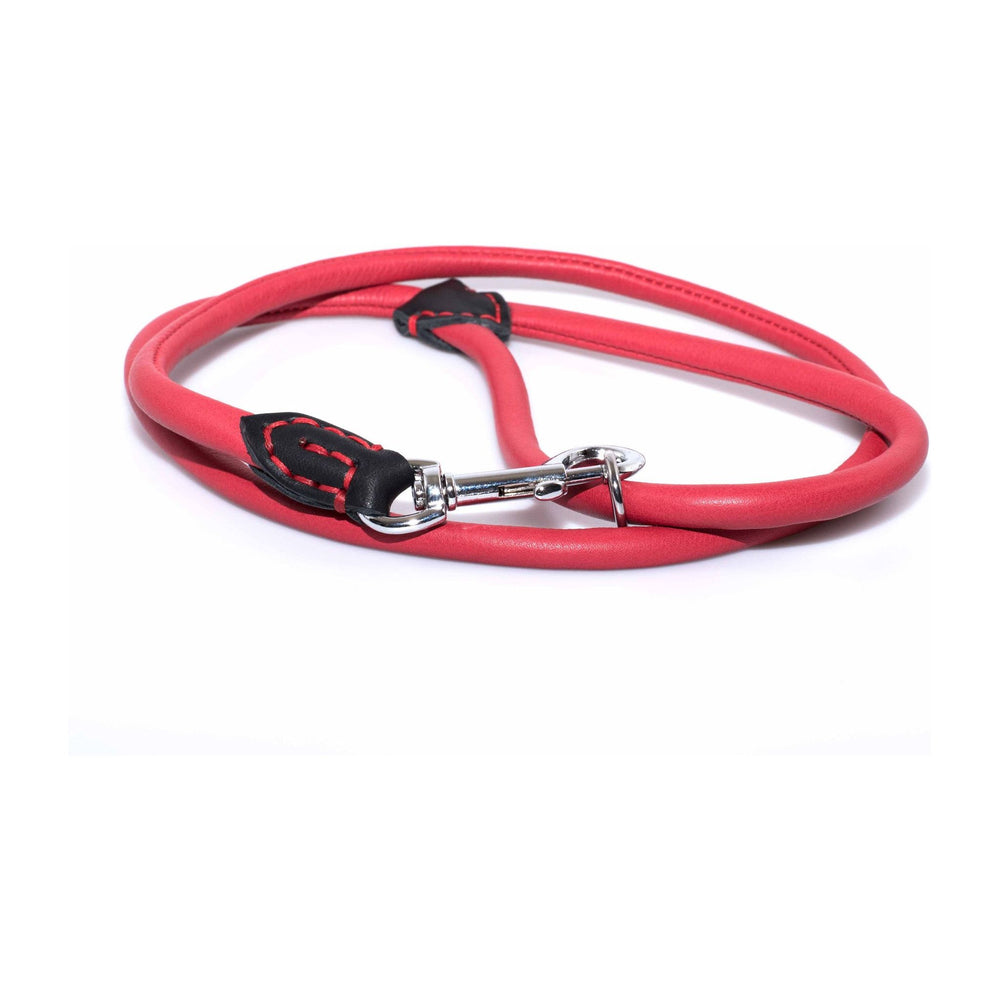 4 Foot Round Vibrant Colored Soft Rolled/Round Leather Leash | HUND Denmark